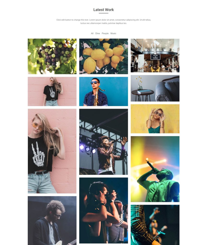 How to Create Portfolio Website/Sections with Elementor?