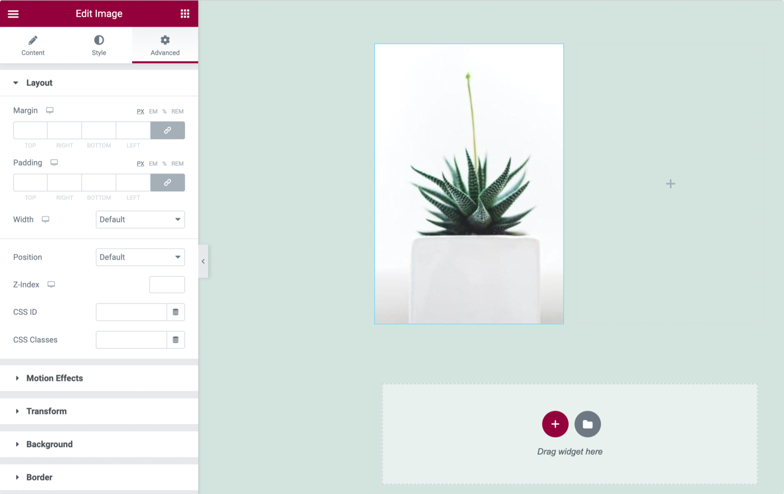 How to Use Elementor: Detailed Guide for Beginners [2025]