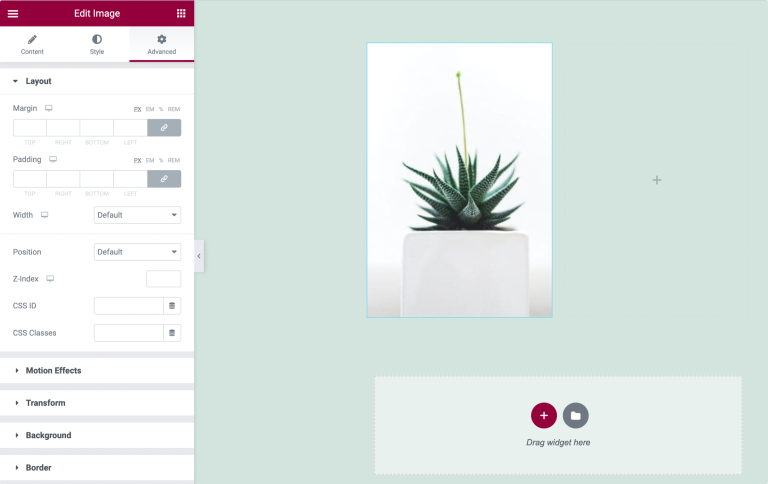 How to Use Elementor: Detailed Guide for Beginners [2025]