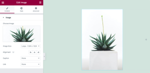 How to Use Elementor: Detailed Guide for Beginners [2025]