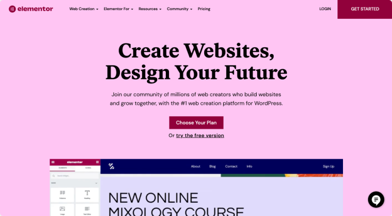 How to Use Elementor: Detailed Guide for Beginners [2025]