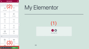 How to Use Elementor: Detailed Guide for Beginners [2025]