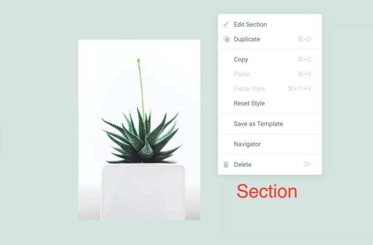 How to Use Elementor: Detailed Guide for Beginners [2025]