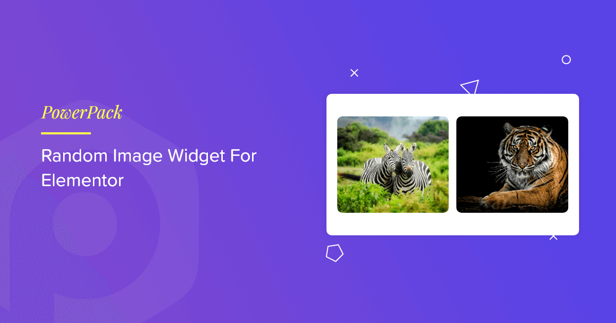 Elementor Random Image Widget - PowerPack Addons for Elementor