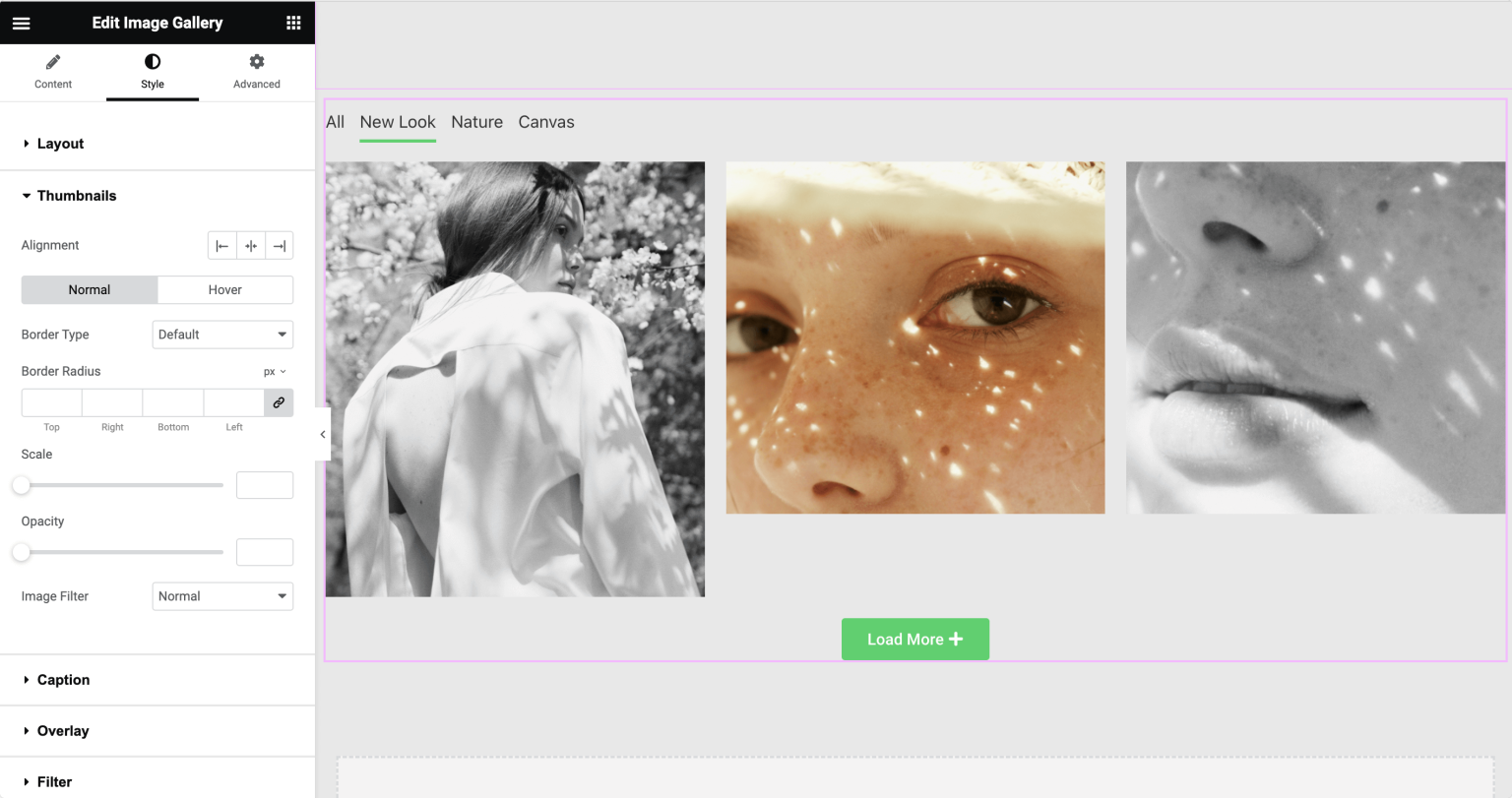 How To Create Elementor Gallery With PowerPack Image Gallery Widget